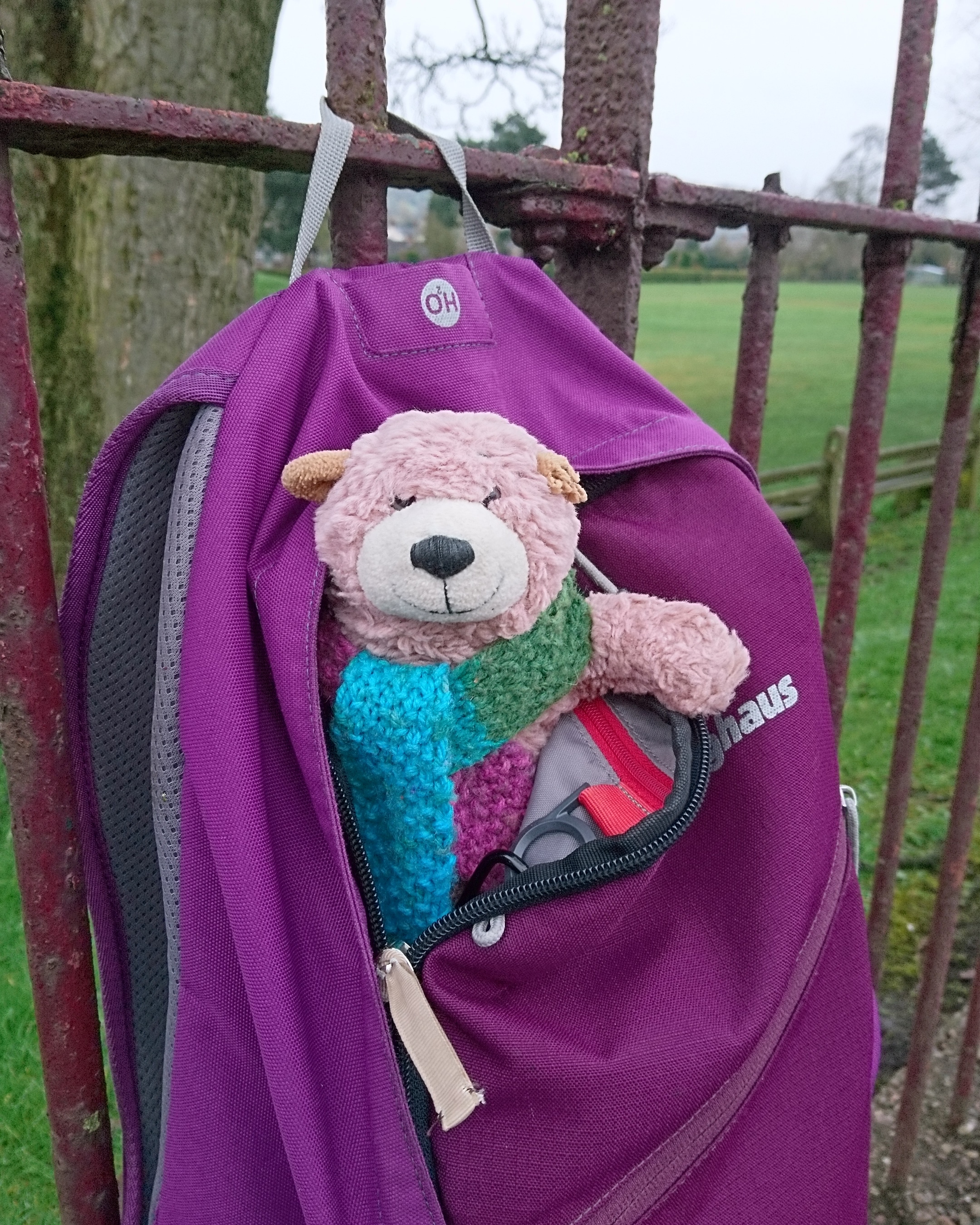 Rescue’s Adventures in Lock Down – Adventures of a bear called Rescue